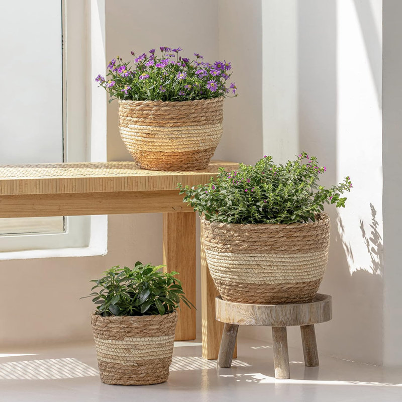 Bay Isle Home™ Muse Seagrass Planter Basket Indoor, Flower Pots Cover, Plant Containers | Wayfair